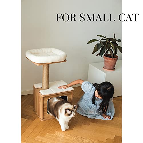Catry Cat Tree - A Cat Play House Combo with Cat Hammock, Scratching Post, and Comfort Home Invariably Trap Kitten to Stay Around This 30β Easy Assembled Sturdy Cat Furniture, Beige