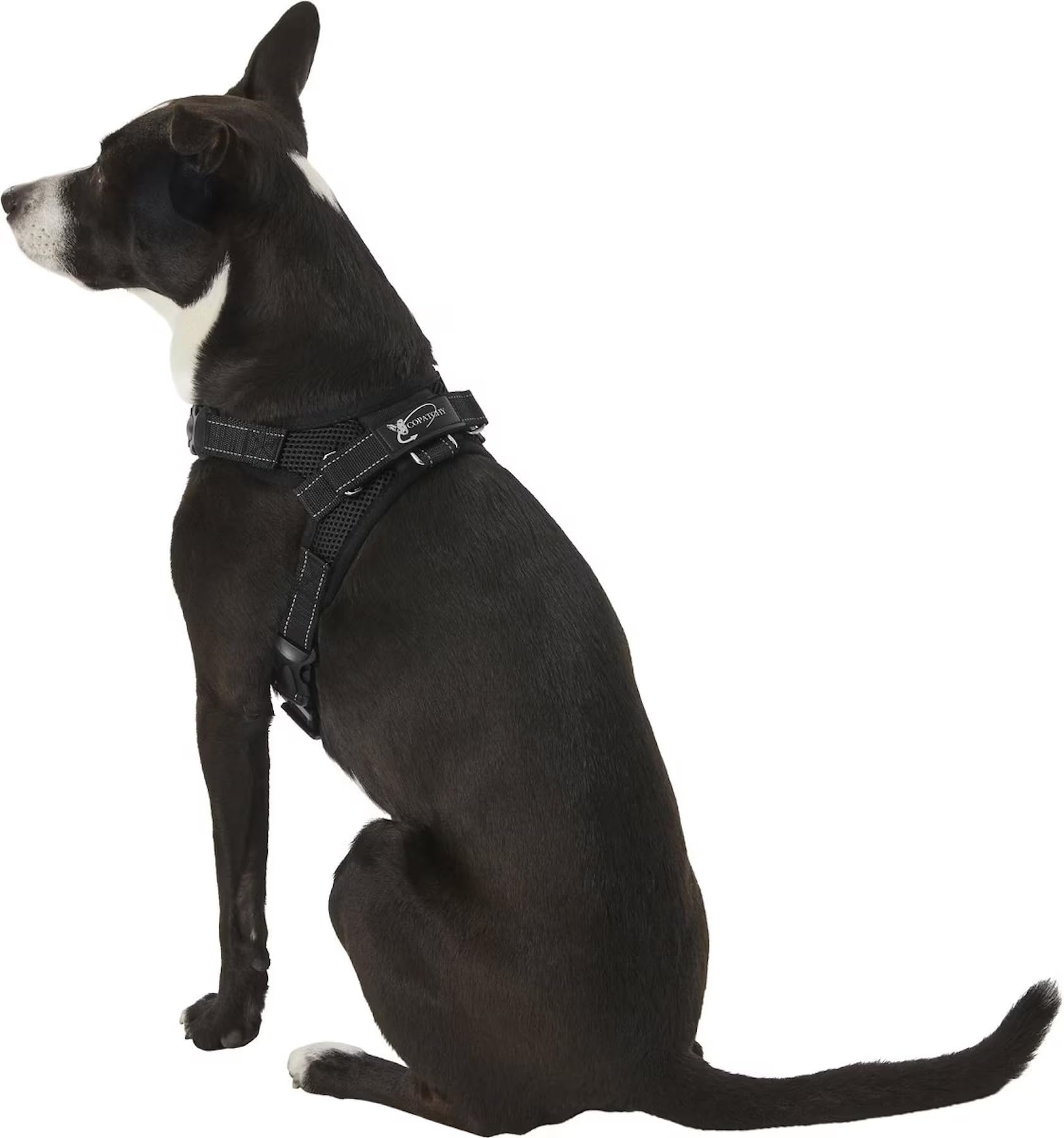 Copatchy No Pull Reflective Adjustable Dog Harness with Handle- Comfortable Soft All Weather Mesh, Easy On Puppy Harness for Small Medium and Large Dogs (Black) Small