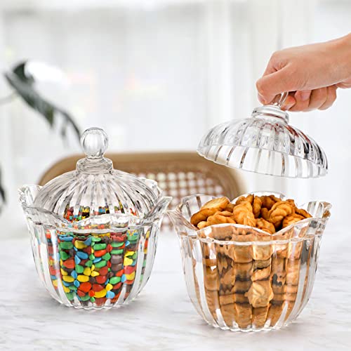 Hacaroa 2 Pack Acrylic Candy Dish with Lid, Crystal Covered Candy Bowls, Decorative Candy Jar Containers for Candy Buffet, Party, Wedding, Housewarming, Clear