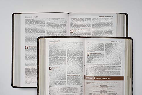 Every Man's Bible: New Living Translation, Large Print, TuTone (LeatherLike, Brown/Tan) β Study Bible for Men with Study Notes, Book Introductions, and 44 Charts