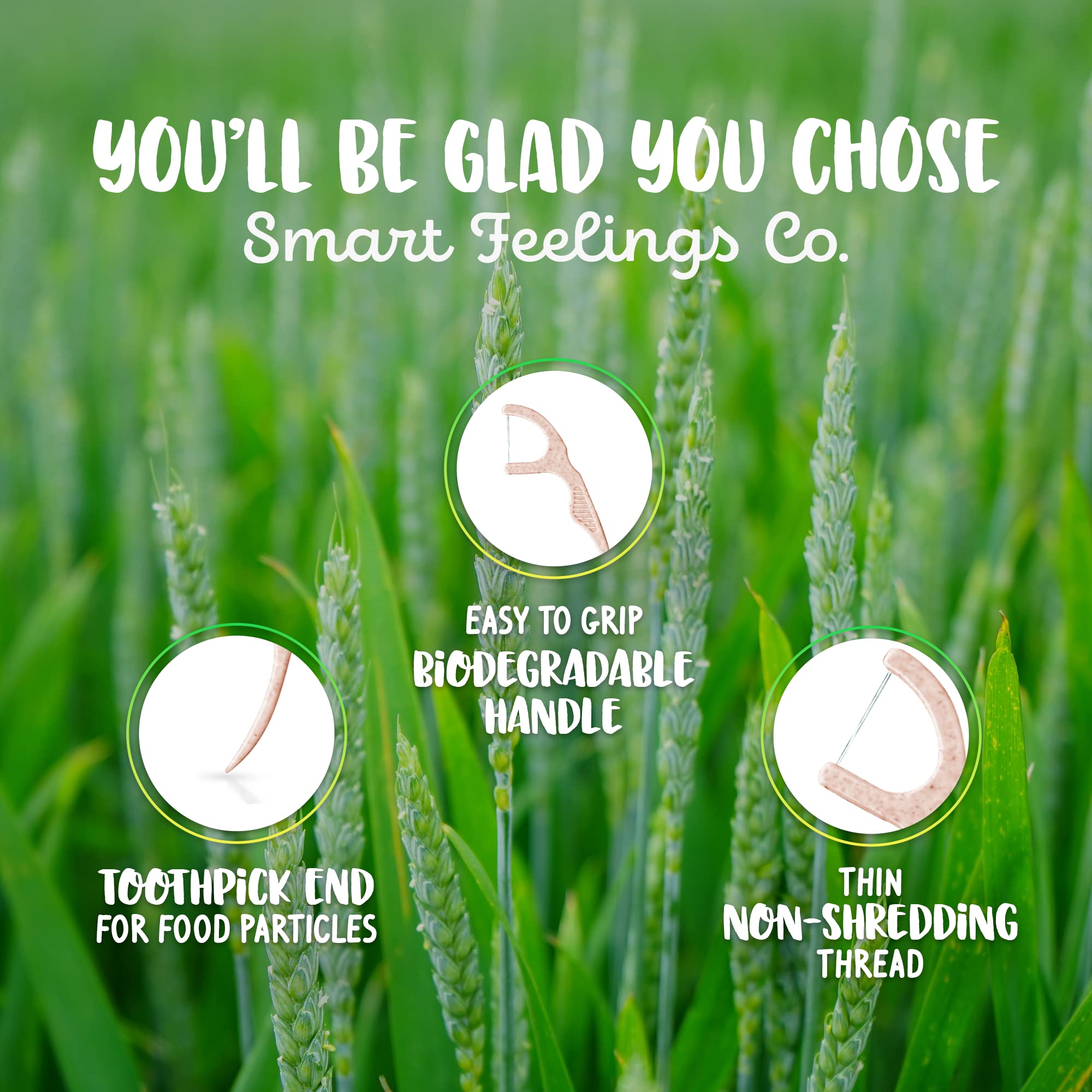 Biodegradable Dental Floss Picks 200 Count | Eco-Friendly Bamboo Like Sustainable Flossers for Enviromentally Conscious Adults and Kids Teeth Cleaning