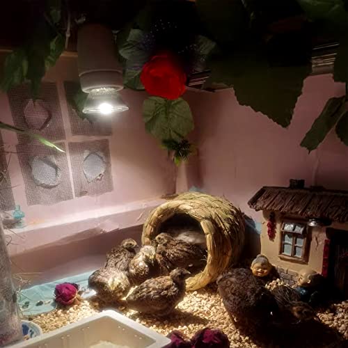 Flylin Reptile Ceramic Heat Lamp Holder, 300W Reptile Lamp Socket 360° Rating Heat Light Holder Kit E27 Socket for Lizard Turtle Snake Aquarium (no Bulb Included, White)