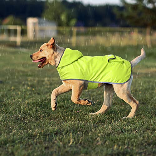 Illumifun Dog Raincoat with Hood - Waterproof Reversible Dog Coats, Lightweight Dog Rain Jacket for Small Medium Large Dogs (X-Large)