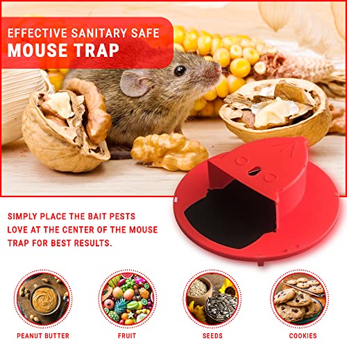 Bucket Lid Flip N Slide Humane Self-Resetting Mouse Trap