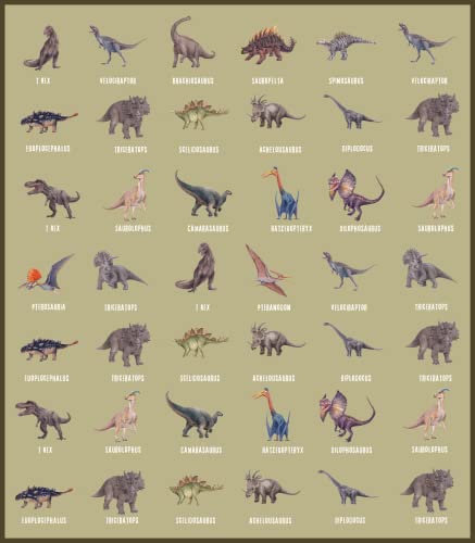 Dinosaur Blanket for Boys,Jurassic World Adults Dino Blanket,Soft Cozy Warm Throw Fleece Blanket for Couch Sofa Bed (Dinosaurs, 60" L x 50" W)