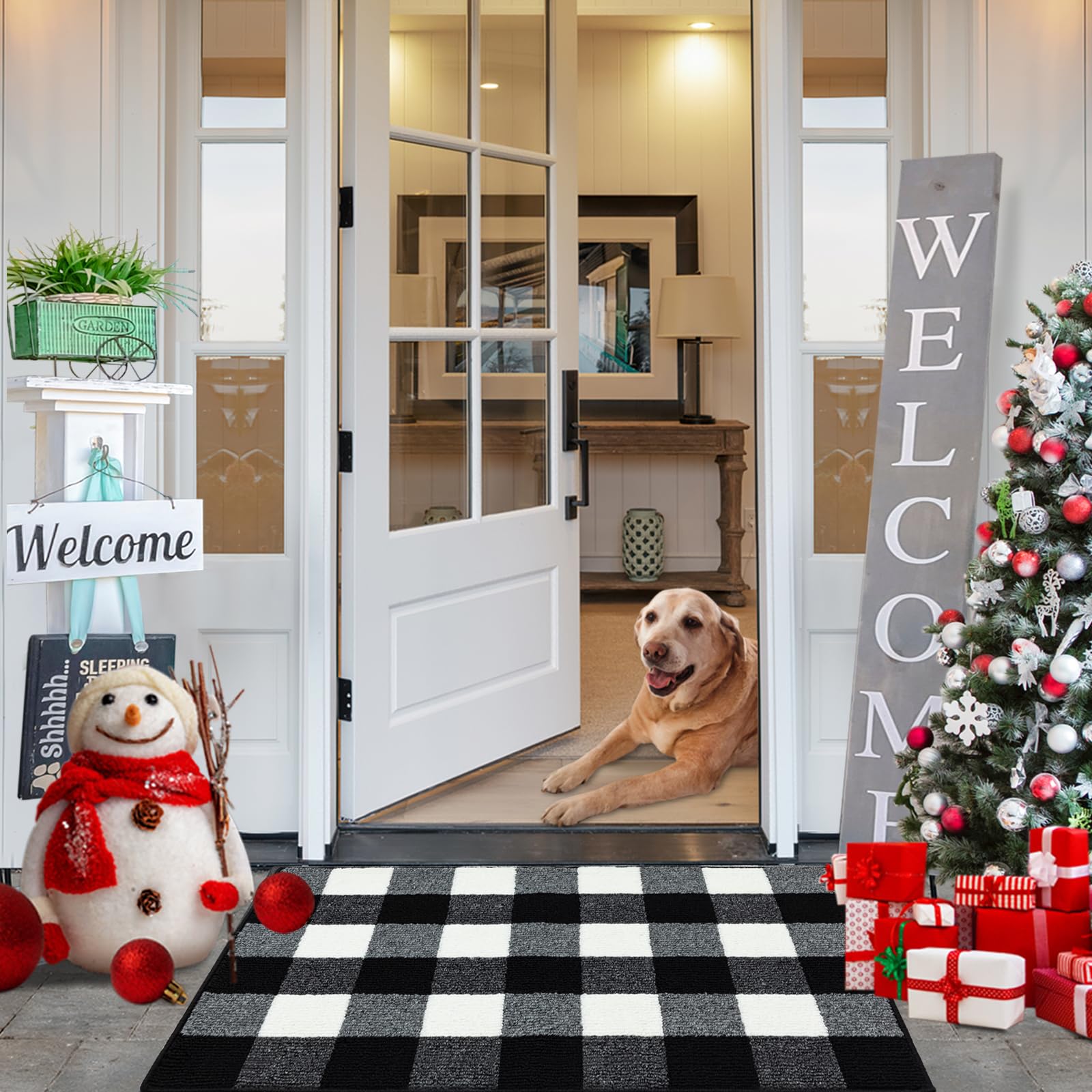 Buffalo Plaid Outdoor Rug, 24"x36" Checkered Front Door Mat, Non Slip Absorbent Entryway Rug Doormat Indoor, Washable Outdoor Rugs for Layered Door Mats Porch/Front Porch/Farmhouse Black and White