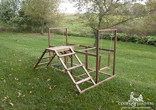 Coops & Feathers Chicken Activity Center-Play, Swing, & Roost-Includes Treat Basket (Large)