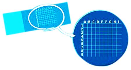 RPI Microscope Grid Slides, 1 x 3 inches, White Imprint, 81 Squares per Slide, 72 Slides per Package, Stain Resistant