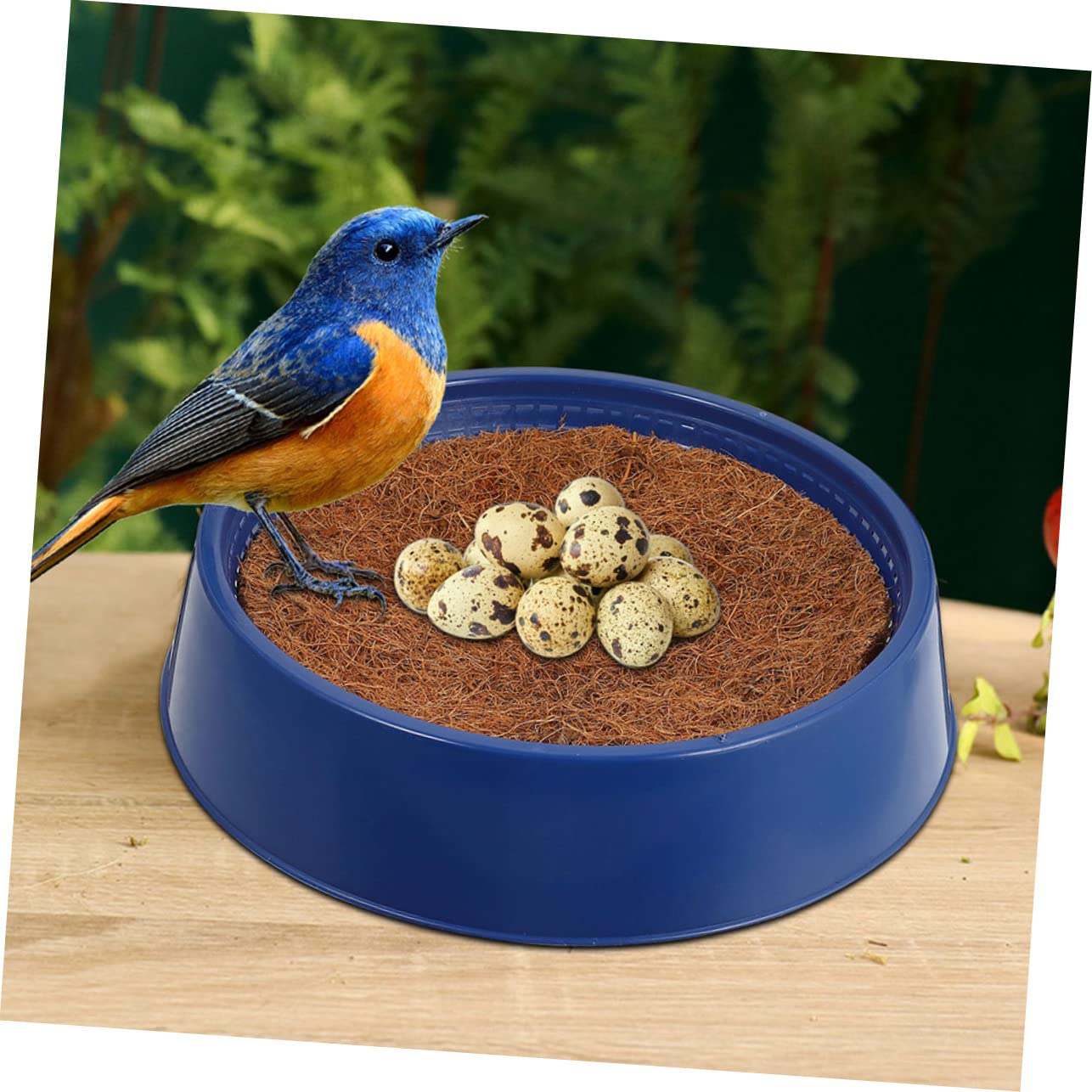 CIYODO 1 Set Carrier Pigeon Pots Quail Small Nesting Pad Pigeon Breeding Cages Pigeon Nesting Grass Mat Birds Nest Convenient Pigeon Nest Bird Nest Bowl Bird Cage Bird Supplies Plastic