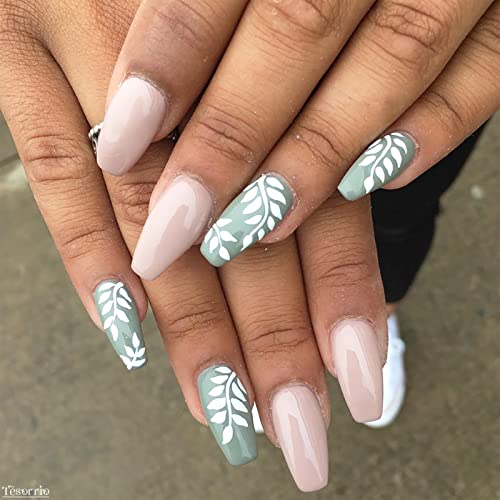 Gel Polish Design Nail Art Stamper - 12Pcs Stamp for Nails Plate Set Stamp Tool for Nails Flower Beauty Butterfly Stamps for Slow Drying Nail Polish - Manicure Set Art Kit