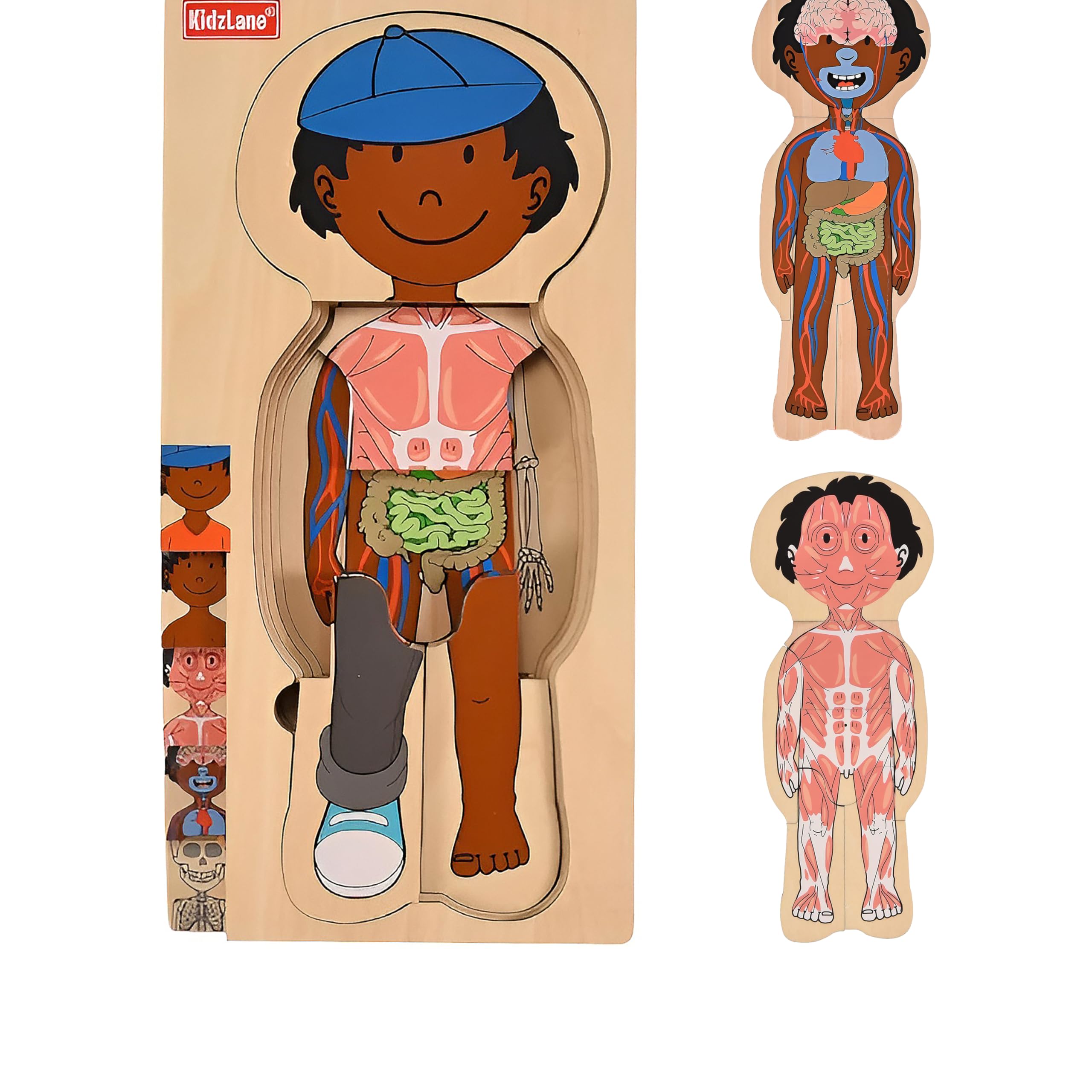 Kidzlane Boy Wooden My Body Puzzle for Toddlers & Kids - 29 Piece Boys Anatomy Puzzle Kid Play Set - Anatomy for Kids, Skeleton Toys for Kids Ages 3 Plus