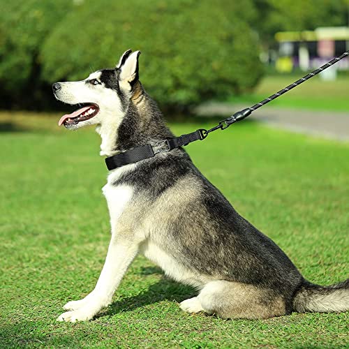 CBBPET Dog Prong Collar, Adjustable Dog Training Collar with Quick Release Buckle for Small Medium Large Dogs