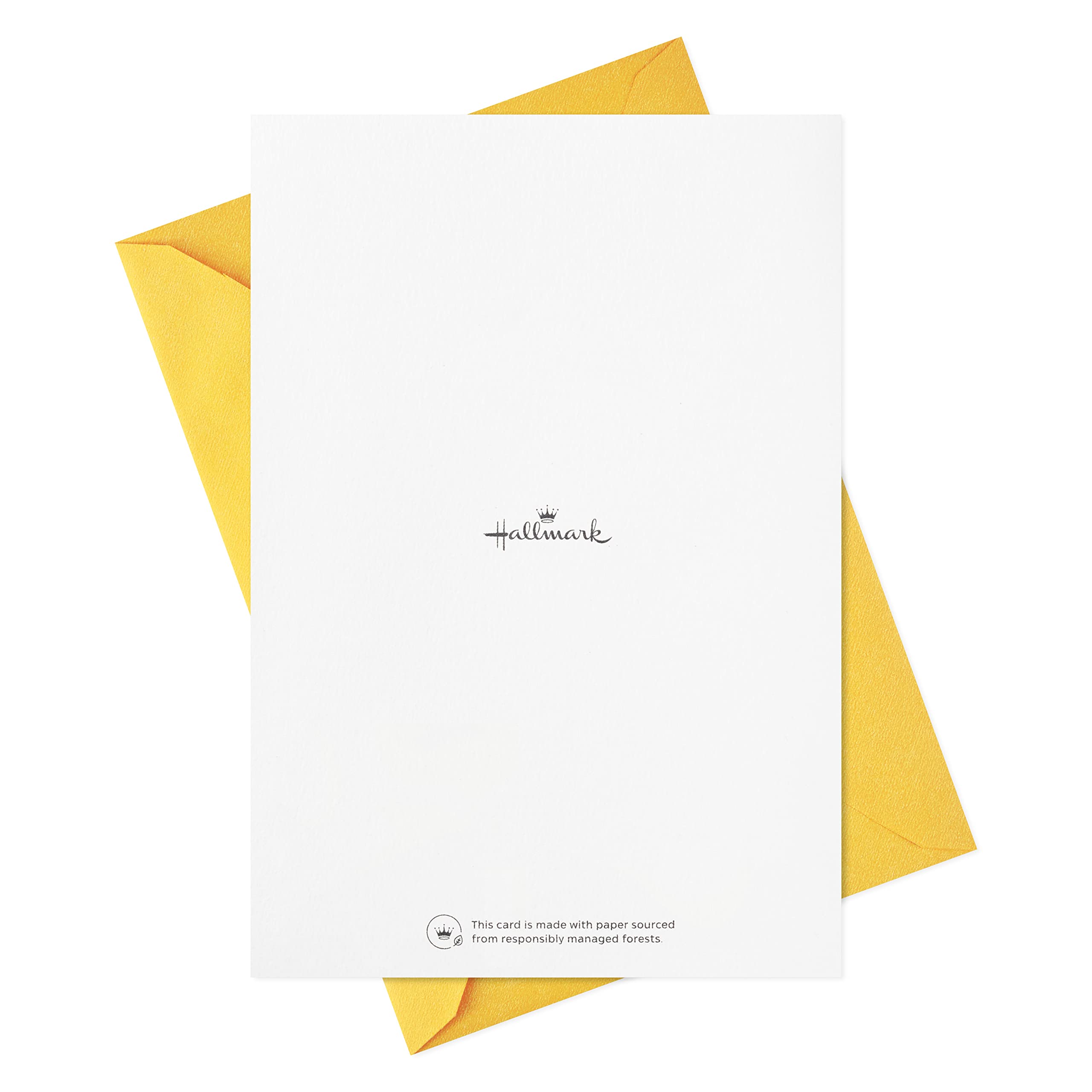 Hallmark Thank You Cards Assortment, Every Shade of Grateful (16 Thank You Notes with Envelopes) for Teacher Appreciation, Caregivers, Graduation