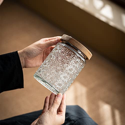 HolaJia Glass Jar with Lid β 24 oz Glass Storage Containers β Premium Jars with Airtight Lids for Coffee, Rice, Sugar β Decorative Cookie Jars for Kitchen Counter, Pantry(Stars)