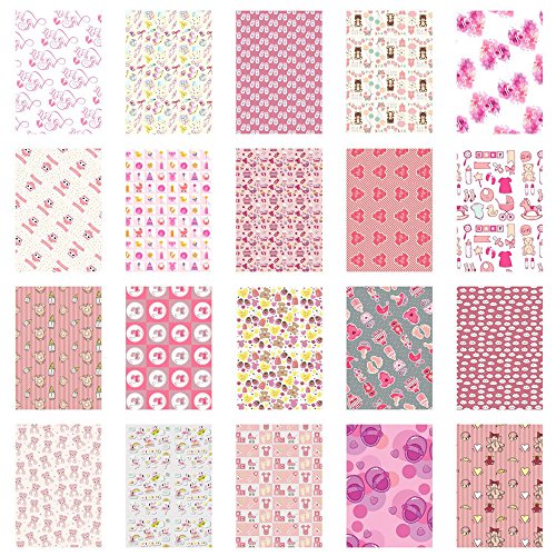 Fujifilm instax Mini Instant Film (20 Exposures) + 20 Sticker Frames for Fuji Instax Prints (Baby Girl)