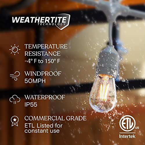 Brightech Ambience Pro - Waterproof LED Outdoor String Lights - Hanging, Dimmable Vintage Edison Bulbs, 48 Ft Commercial Grade Patio Lights Create Cafe Christmas Ambience In Your Backyard, 15 Bulbs 2W