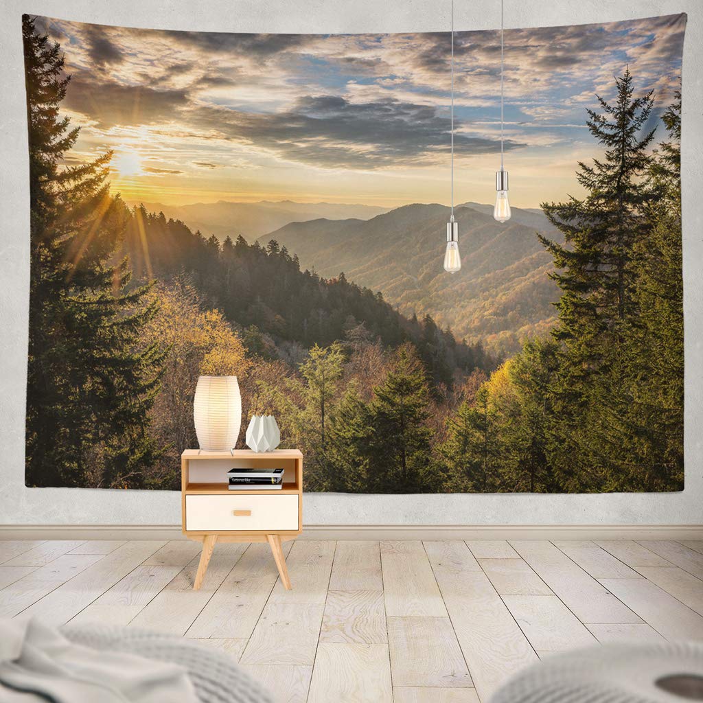 KJONG Traditional Japanese Garden Garden Flower Japanese Color Nature House Park Spring Landscape River Lake Decorative Tapestry,60X80 Inches Wall Hanging Tapestry for Bedroom Living Room