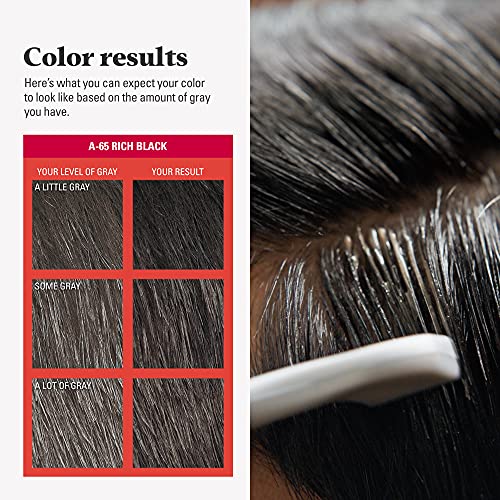 Just For Men Easy Comb-In Color Mens Hair Dye, Easy No Mix Application with Comb Applicator - Rich Black, A-65, Pack of 1