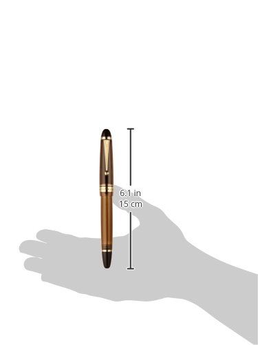 PILOT "CUSTOM 823 - Plunger Type/Transparent Brown (nib : Medium)