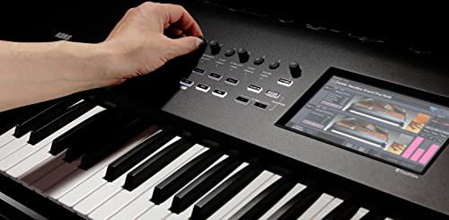 Korg Nautilus 61-Key Performance Synth Workstation Bundle with Sustain Pedal, MIDI Cables, and Austin Bazaar Polishing Cloth