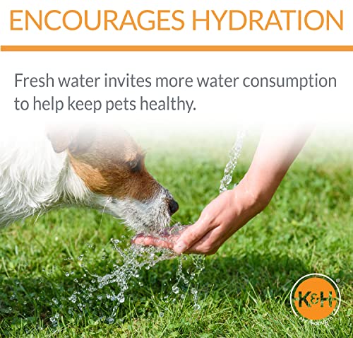 K&H Pet Products CleanFlow Filtered Water Bowl for Dogs Granite Medium 1.4 Gallon Bowl + 1 Gallon Reservoir