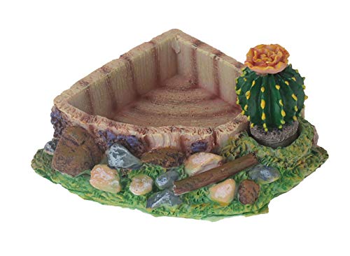 emours Reptile Amphibian Tortoise Lizard Frog Water Dish Food Feeder Cactus Corner Bowl with Ramp Small