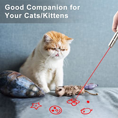 HOHUIGO Laser Pointer Toys for Indoor Cats, Red Dot Cat Toy for Cats Dogs, USB Rechargeable Pet Toys, LED Light Pointer Interactive Cat Toys Kitten Play Training Exercise Toys, Cat Wand Chasing Toys