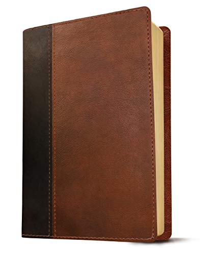 Every Man's Bible: New Living Translation, Large Print, TuTone (LeatherLike, Brown/Tan) β Study Bible for Men with Study Notes, Book Introductions, and 44 Charts