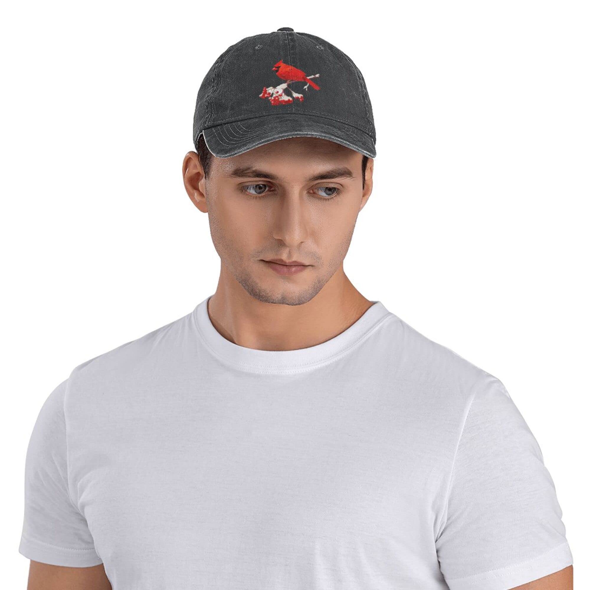 BISZANQA Red Cardinal Bird Sitting On Mountain Print Hat,Black Baseball Cap for Unisex Adult Denim Hats, Medium-Large