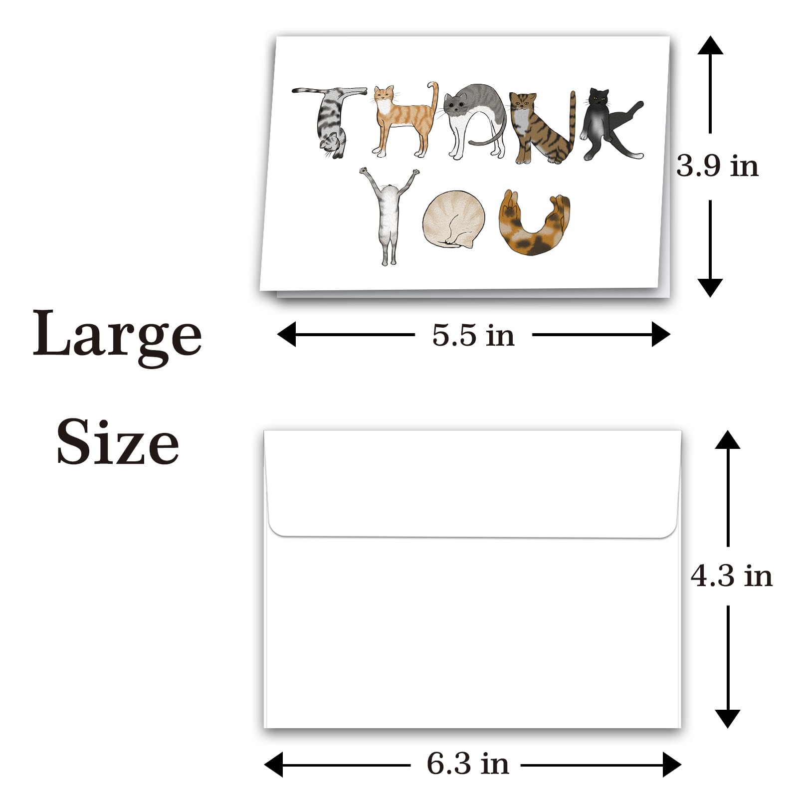 Cat Thank You Cards (6 Packs), Alphabet Thank You Cards for Cat Lovers