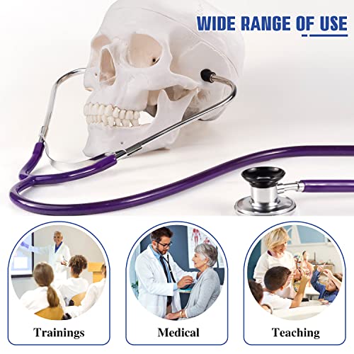 Human Skull Anatomical Model, HINGONS Adult Sized Skull 3-Part Removable Skull Cap and Moving Jaw, for Student Human Anatomy Learning