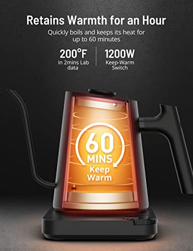 Paris Rhône Gooseneck Electric Kettle, Temperature Variable Electric Kettle for Coffee Tea Brewing, 0.9L Stainless Steel Tea Kettle, 1H Temperature Holding, Built-in Stopwatch for Gift