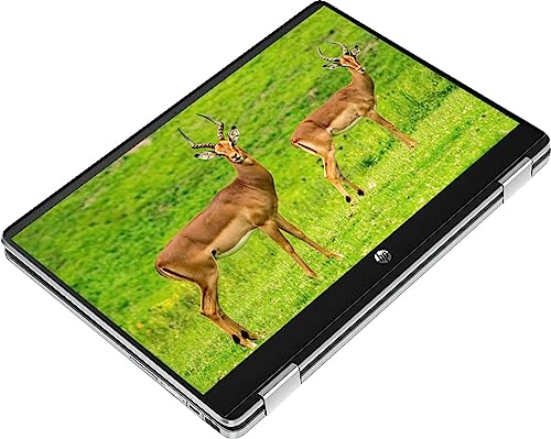 HP Premium Convertible 2-in-1 Chromebook, 14" HD IPS Touchscreen, Intel Celeron N Processor up to 2.78GHz, 4GB Ram, 64GB SSD, Super-Fast WiFi, Chrome OS, Arctic Silver Color (Renewed)