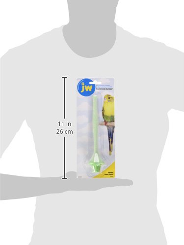 JW Pet Insight Sand Perch, Small, Assorted