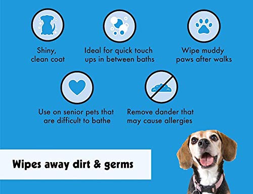 Deodorizing Hypoallergenic Heavy Duty Thick Durable Pet Grooming Wipes Unscented Cleans Face, Ears, Body, Butt and Eyes β Bath Alternative, Super Convenient, Ideal for Home or Travel (Pack of 1)