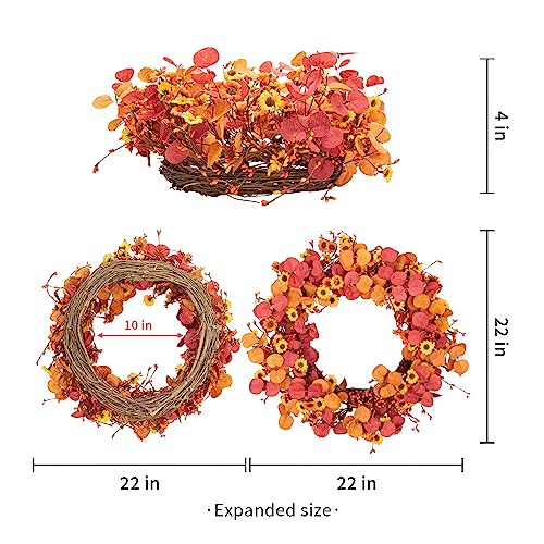 DIYFLORU Fall Wreaths for Front Door 22 inch Autumn Door Wreath Fall Eucalyptus Wreath with Daisy for Thanksgiving Harvest Festival Indoors Outside