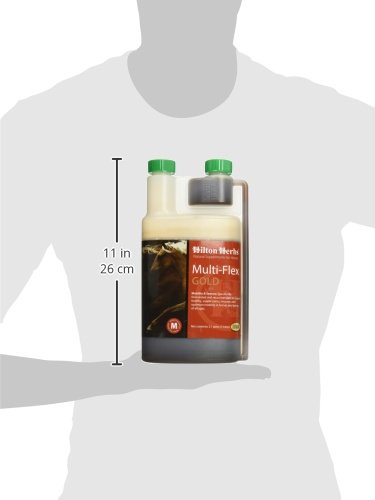 Hilton Herbs Multiflex Gold Liquid Joint & Muscle Supplement for Horses, 2.1pt Bottle