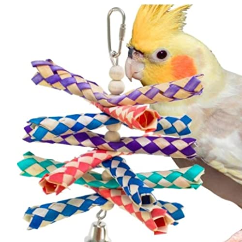 Hypeety Parrot Nibbling Toy Bird Toy Colorful Braided String