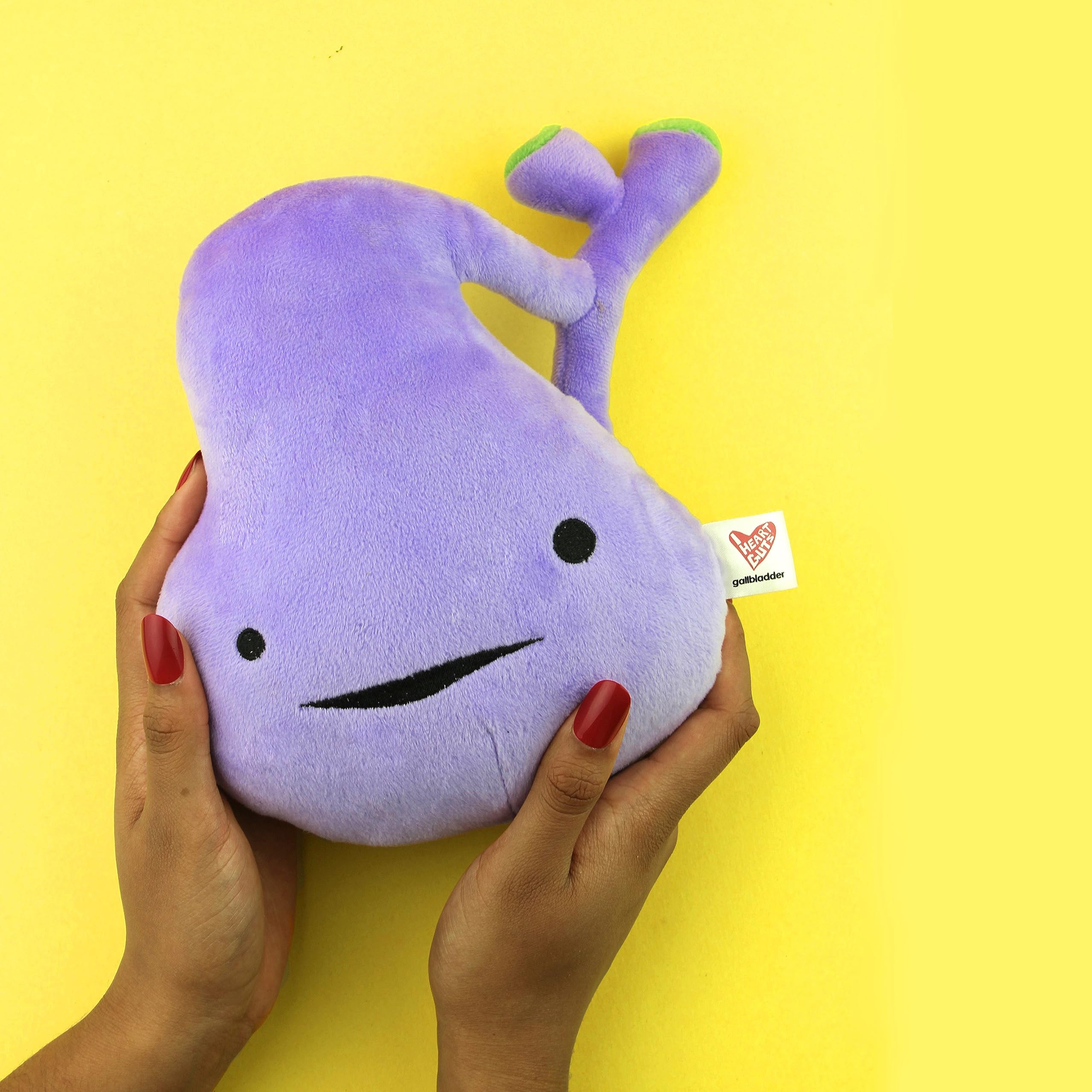 I Heart Guts Gallbladder Plush Toy - You’ve Got Gall! - 8" Educational Organ Stuffed Animals - Gallbladder Surgery Recovery Gifts, Ideal for Doctors, Nurses, Graduation