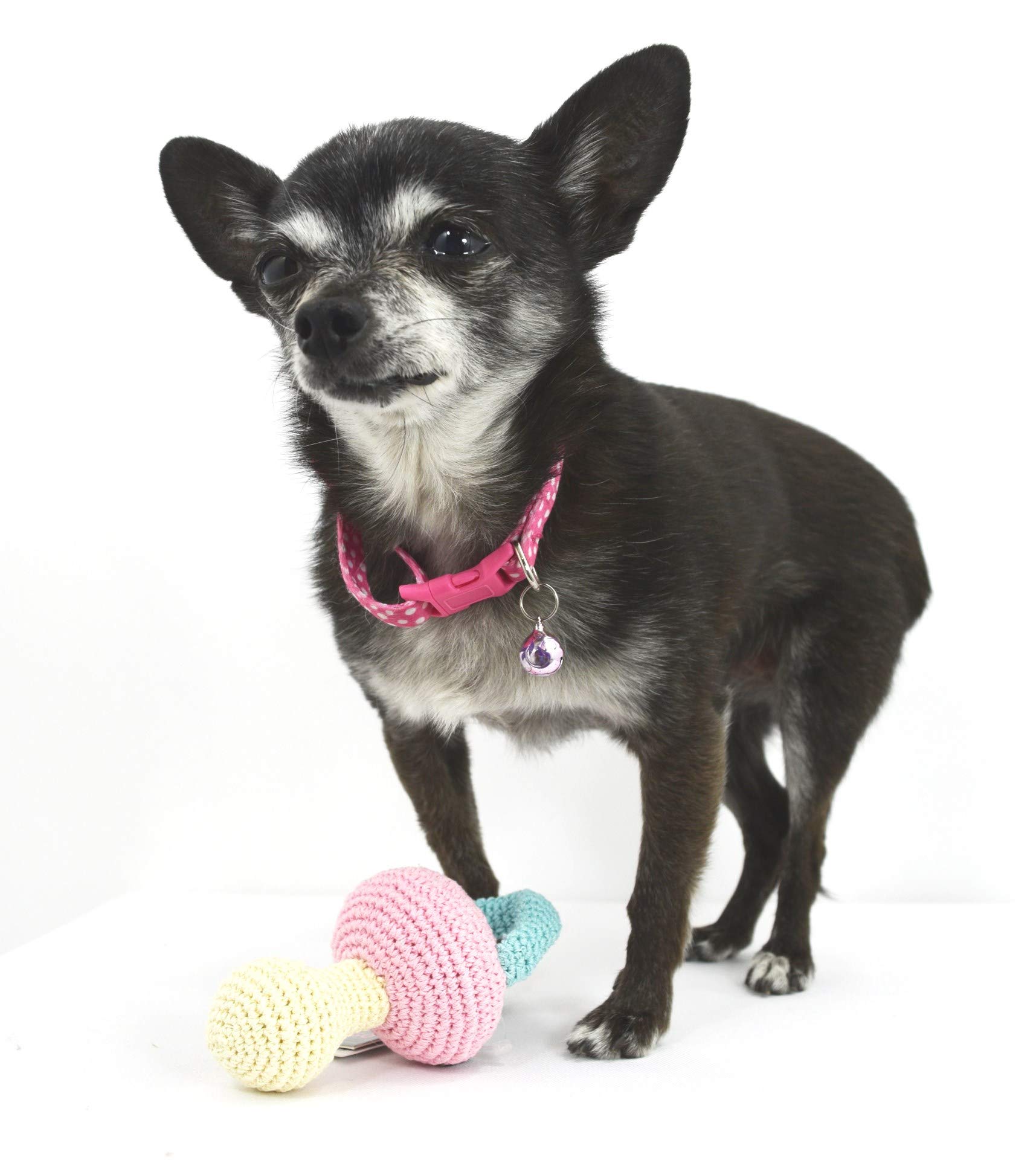 DOGO 100 Dog Teeth Cleaning Cotton Crochet Squeaky Dog Toy for Small Dogs - Pacifier