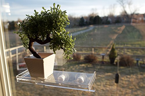 LaBrinx Designs Medium Suction Cup Shelf - Live Plants, Windows, and Bathrooms