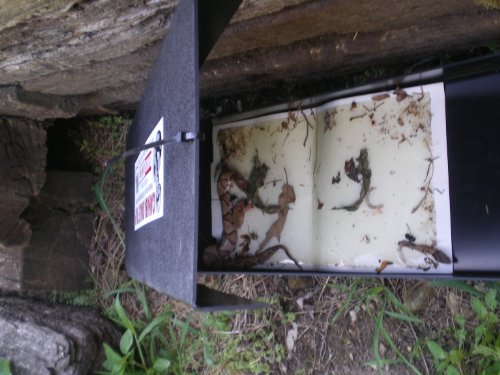 Cahaba Snake Trap Lift-Top Size 32"x10"x3"W/ 3 Large Catch Inserts