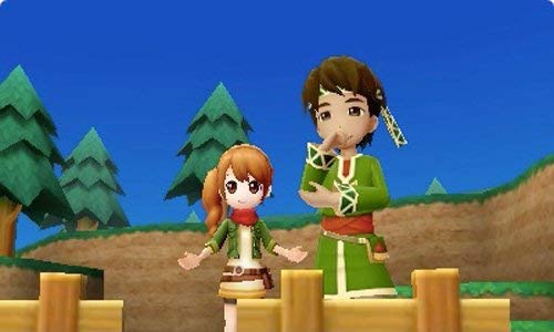 Harvest Moon Skytree Village - Nintendo 3DS (Renewed)