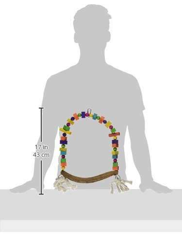 Prevue Pet Products BPV62681 Bodacious Bites Wood Bird Toy, Swing