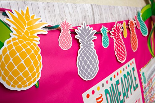 Teacher Created Resources Tropical Punch Pineapples Accents, 2156