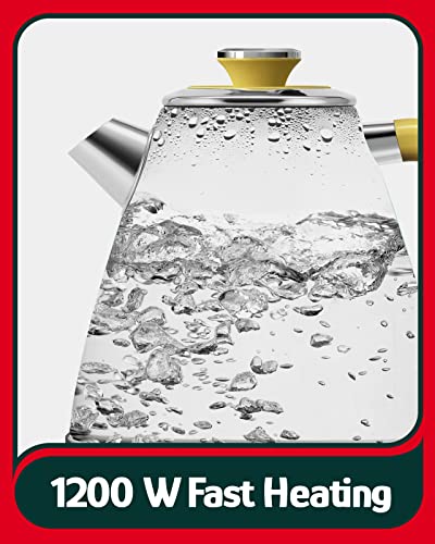 Hazel Quinn X Eduardo Recife Collaboration Electric Kettle with Thermometer - 1.7 Litres / 57.5 Ounces Retro Tea Kettle, All Stainless Steel, Fast Boiling 1200W, Cordless, BPA-free, Automatic Shut-Off