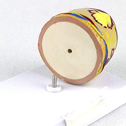 DABAUR Organ Model Skin Hair Follicle Hair Acne Pustule Blackhead Anatomical Model for Study Display Teaching Anatomical Model
