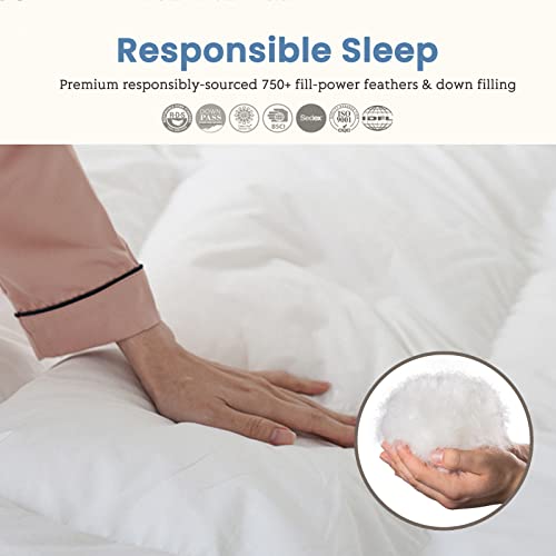 Hotel Collection Feathers & Down Comforter King Size | All Season Down Duvet Insert | Luxurious 750 Fill Power Ultra-Soft 500TC Egyptian Cotton-Blend Quilted with Tabs (106x90, Solid White)