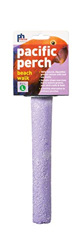 Prevue Pet Products Pacific Perch Beach Walk Large 1008