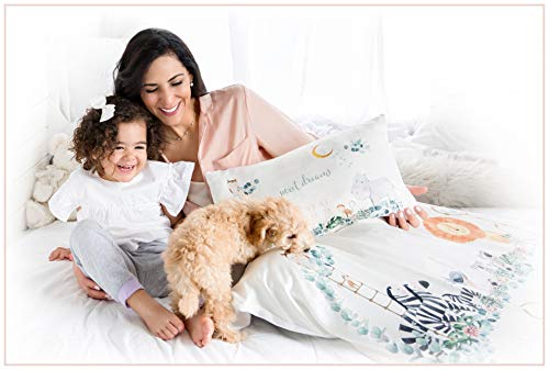 Silky Tales - Toddler Pillowcase 100% Silk - Kids Pillow Cover 13x18 (White with Light Pink and Blue)